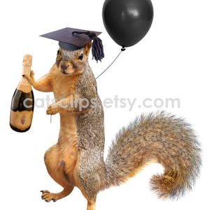Squirrel With Black Balloon and Champagne Printable Graduation Card ...