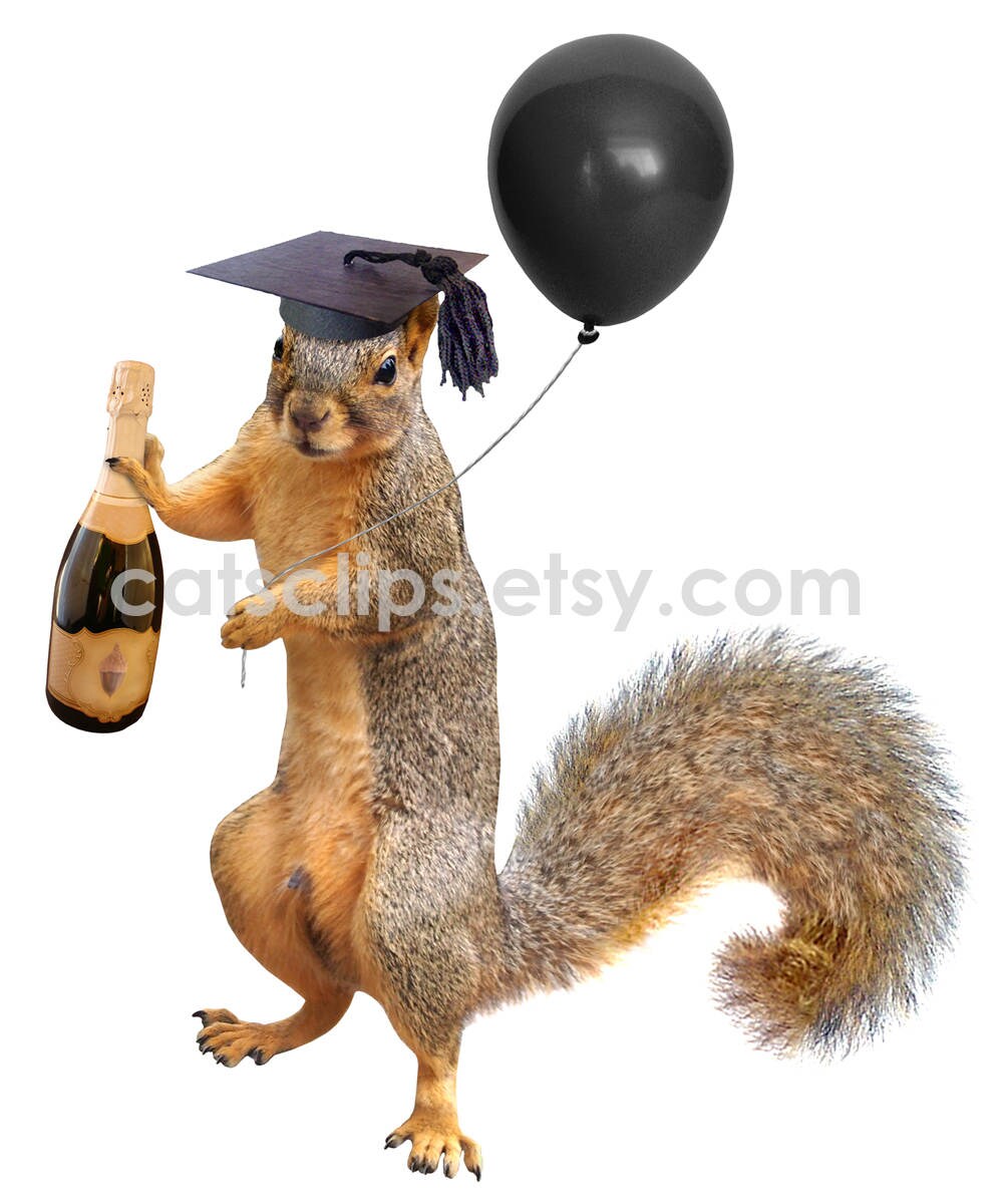 Squirrel With Black Balloon and Champagne Printable Graduation - Etsy