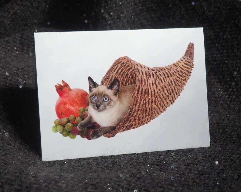 Siamese Cat Cornucopia Card Harvest Cat Thanksgiving Card - Etsy