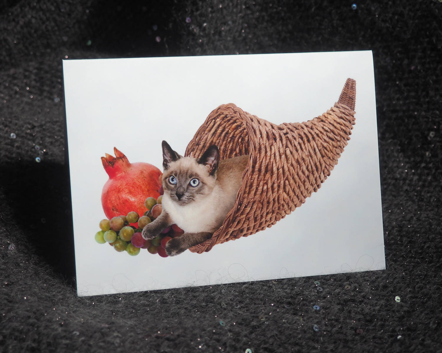 Siamese Cat Cornucopia Card Harvest Cat Thanksgiving Card - Etsy