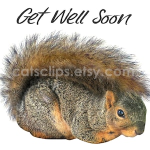Printable Squirrel Get Well Card (PDF) - Etsy