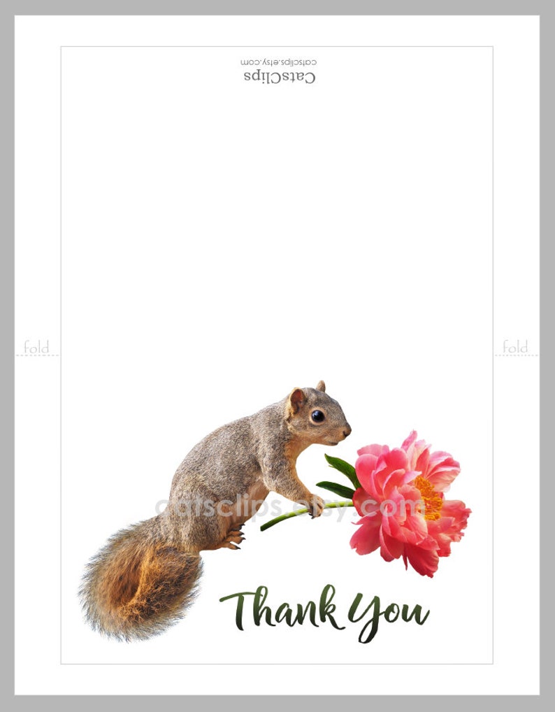 Squirrel With Peony Printable Thank You Card Digital Squirrel - Etsy
