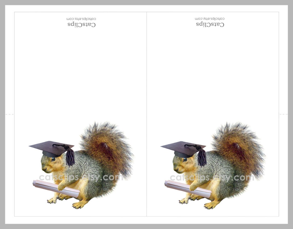 Squirrel Grad Printable Graduation Card | Etsy