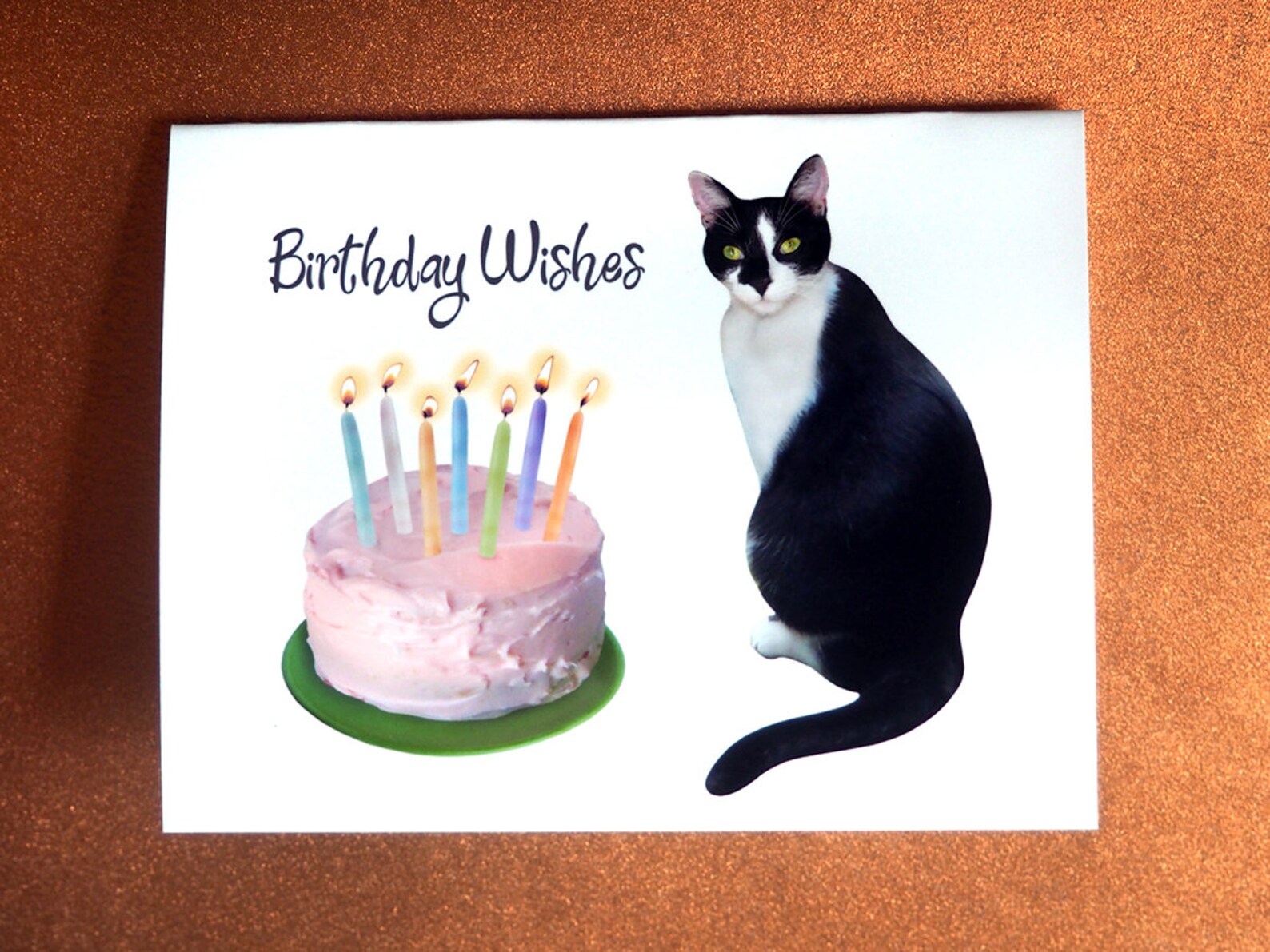 Cat With Cake Printable Birthday Card Digital Cat Birthday - Etsy