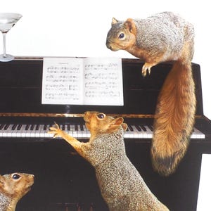 Squirrels Around the Piano Musical Party Card - Etsy