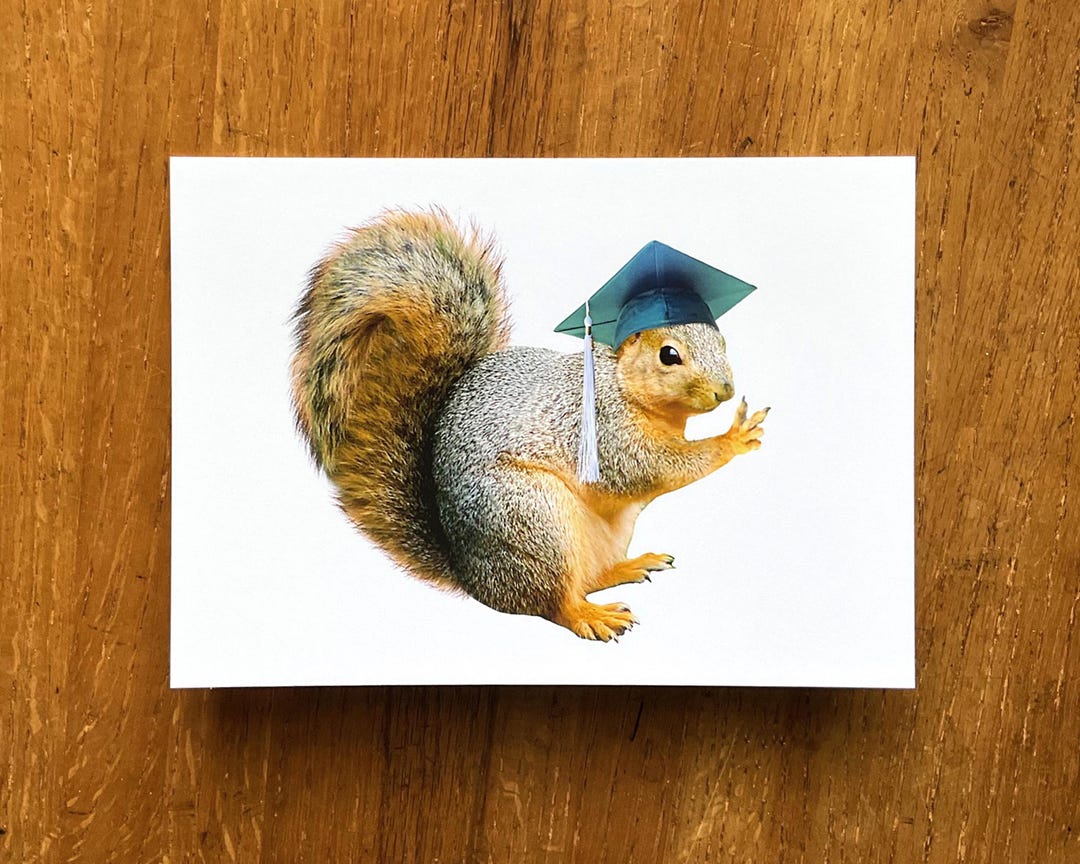 Peace Squirrel Graduation Card - Etsy