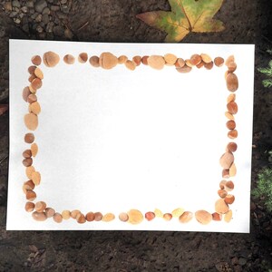 Nuts Digital Border, Printable Nut Border,fall Harvest Nut Border - Etsy