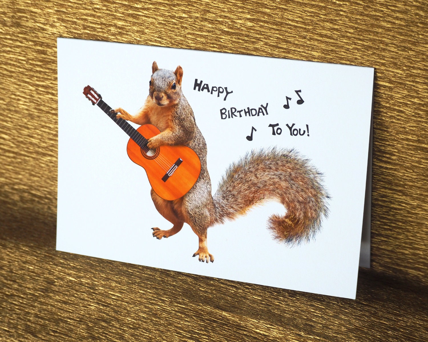Squirrel Playing Guitar Birthday Card - Etsy