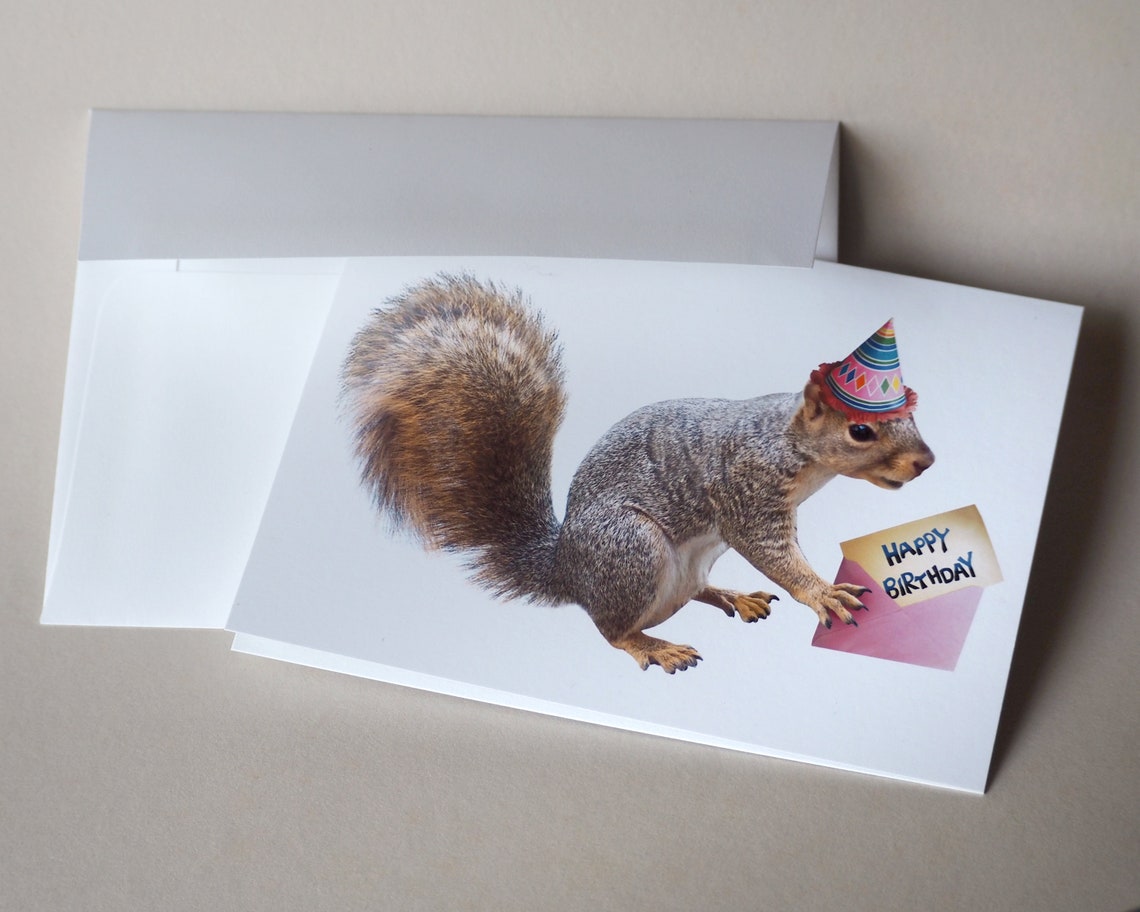 Squirrel Happy Birthday Card - Etsy