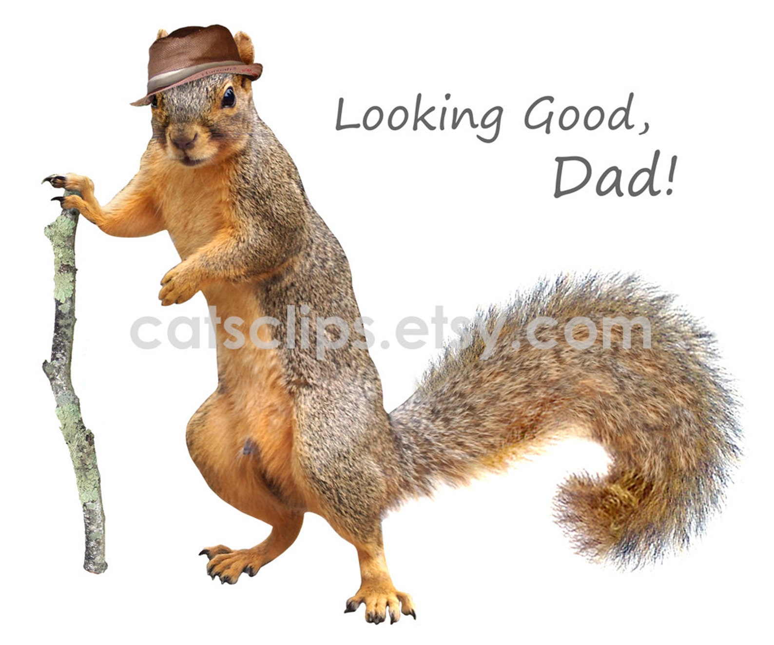 Squirrel Printable Father's Day Card | Etsy