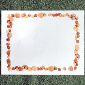 Nuts Digital Border, Printable Nut Border,fall Harvest Nut Border - Etsy