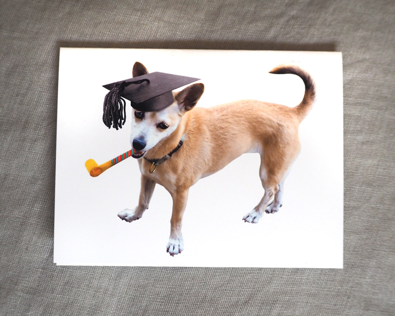 Printable Dog Graduation Card | Etsy