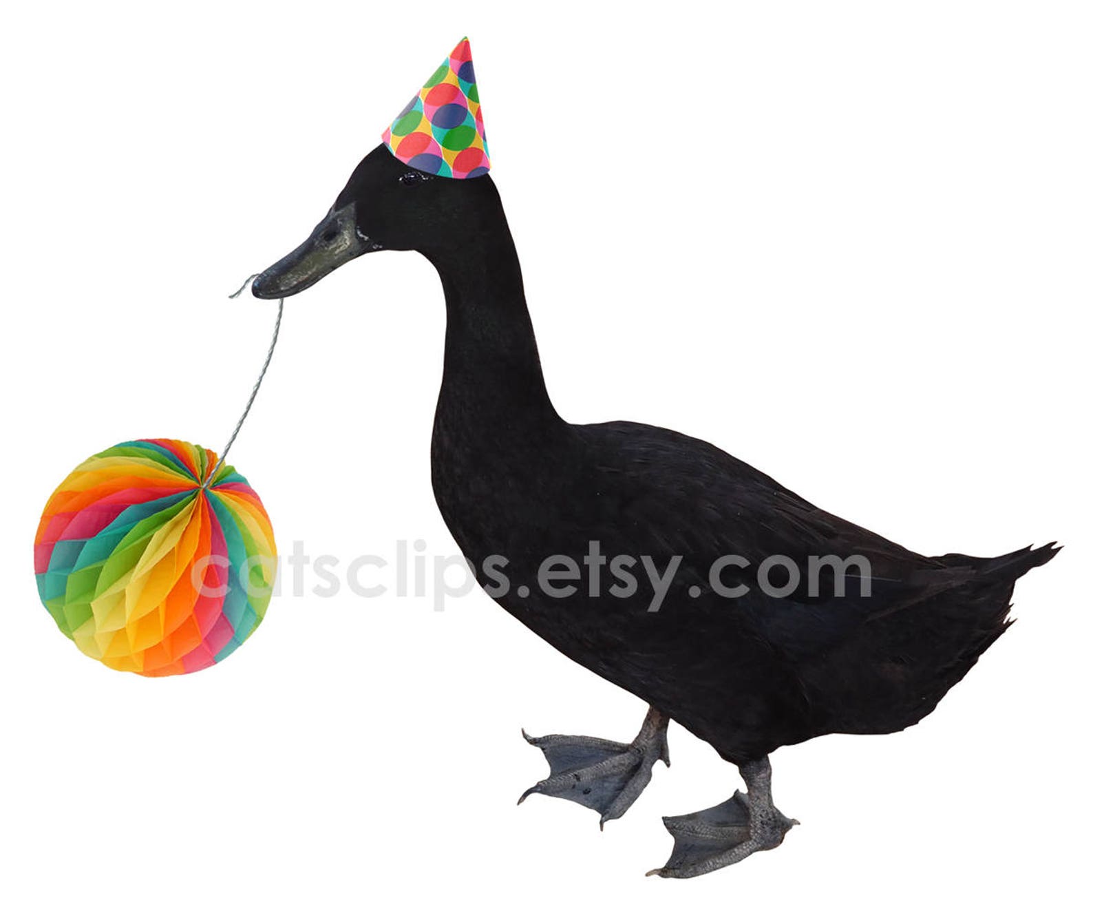 Party Duck Printable Birthday Card Digital Party Card - Etsy