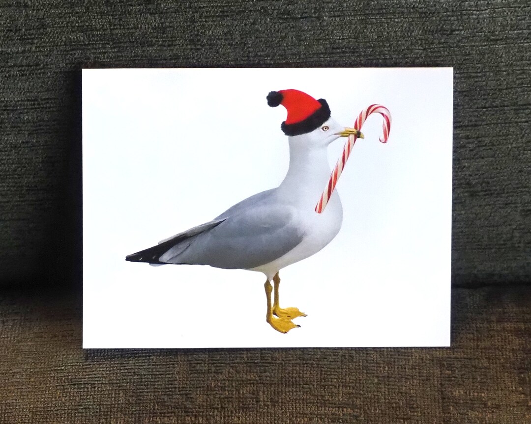 Santa Seagull Printable Christmas Card - Etsy