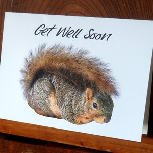 Printable Squirrel Get Well Card (PDF) - Etsy