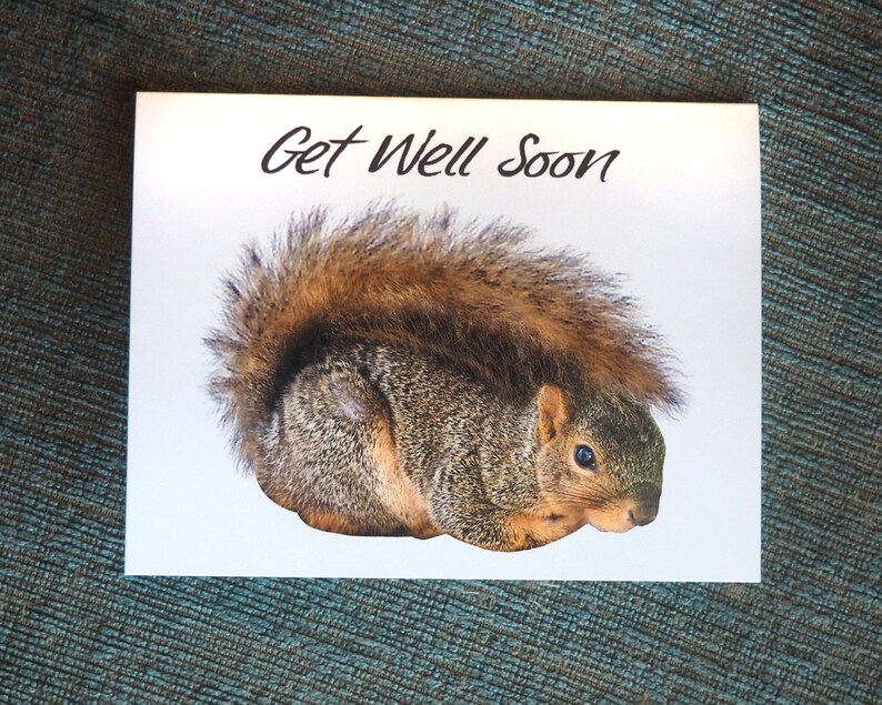 Printable Squirrel Get Well Card (PDF) - Etsy
