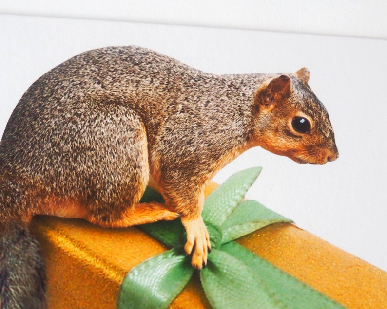 Squirrel Gold Present Birthday Card - Etsy