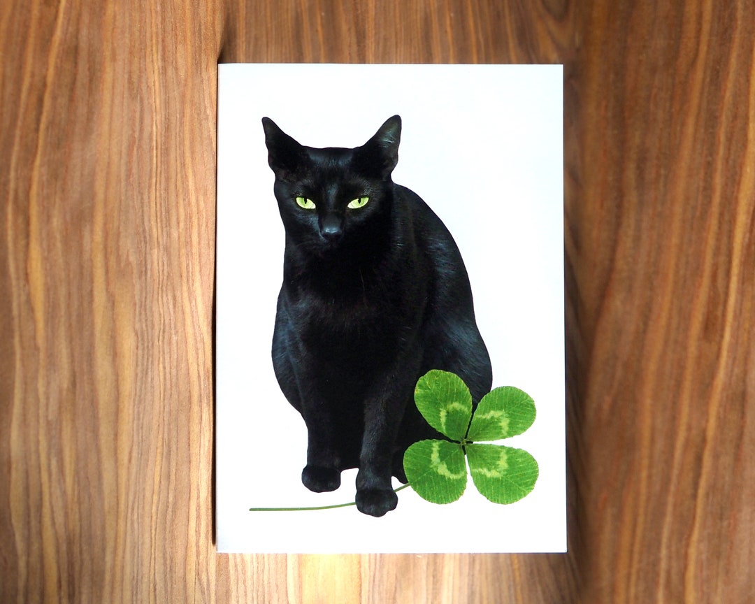 Black Cat Clover Card - Etsy