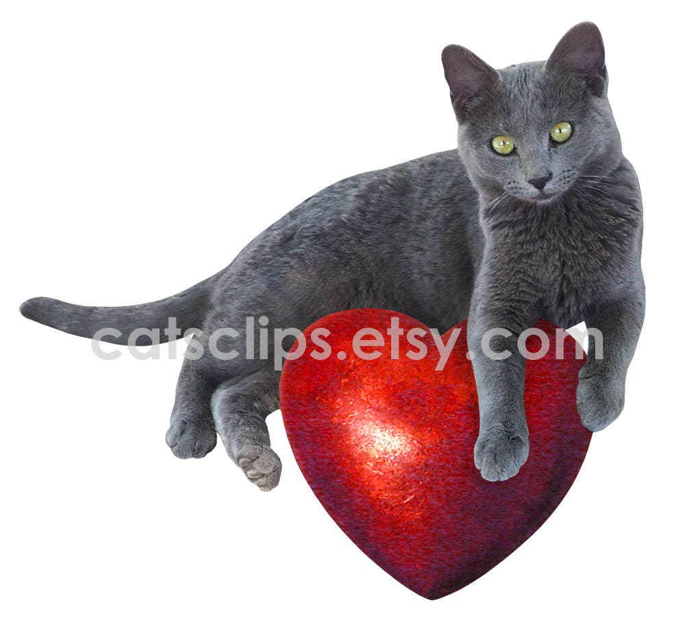 Gray Cat Heart Printable Valentine's Card, Printable Love Cat Card ...