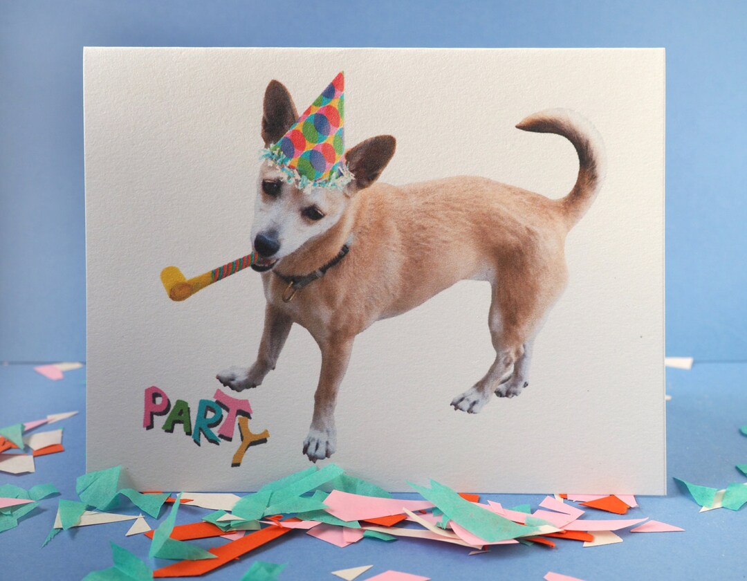 Party Dog Printable Birthday Card - Etsy
