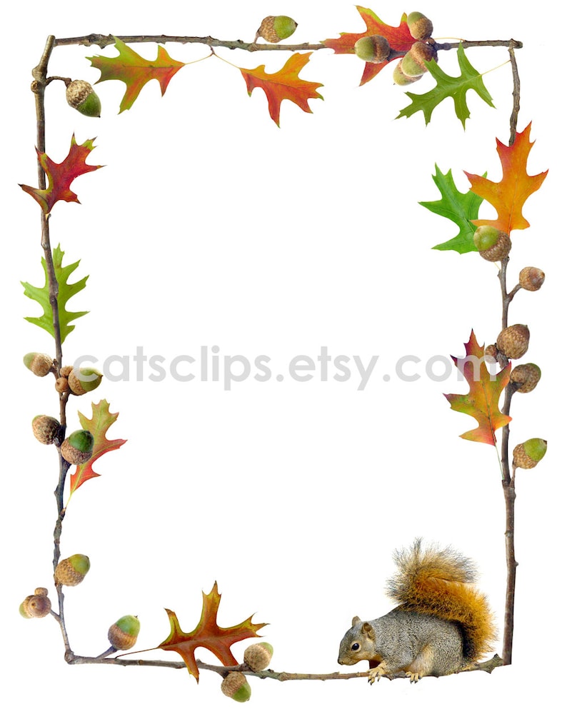 Oak Leaves Acorns Squirrel Fall Digital Border - Etsy