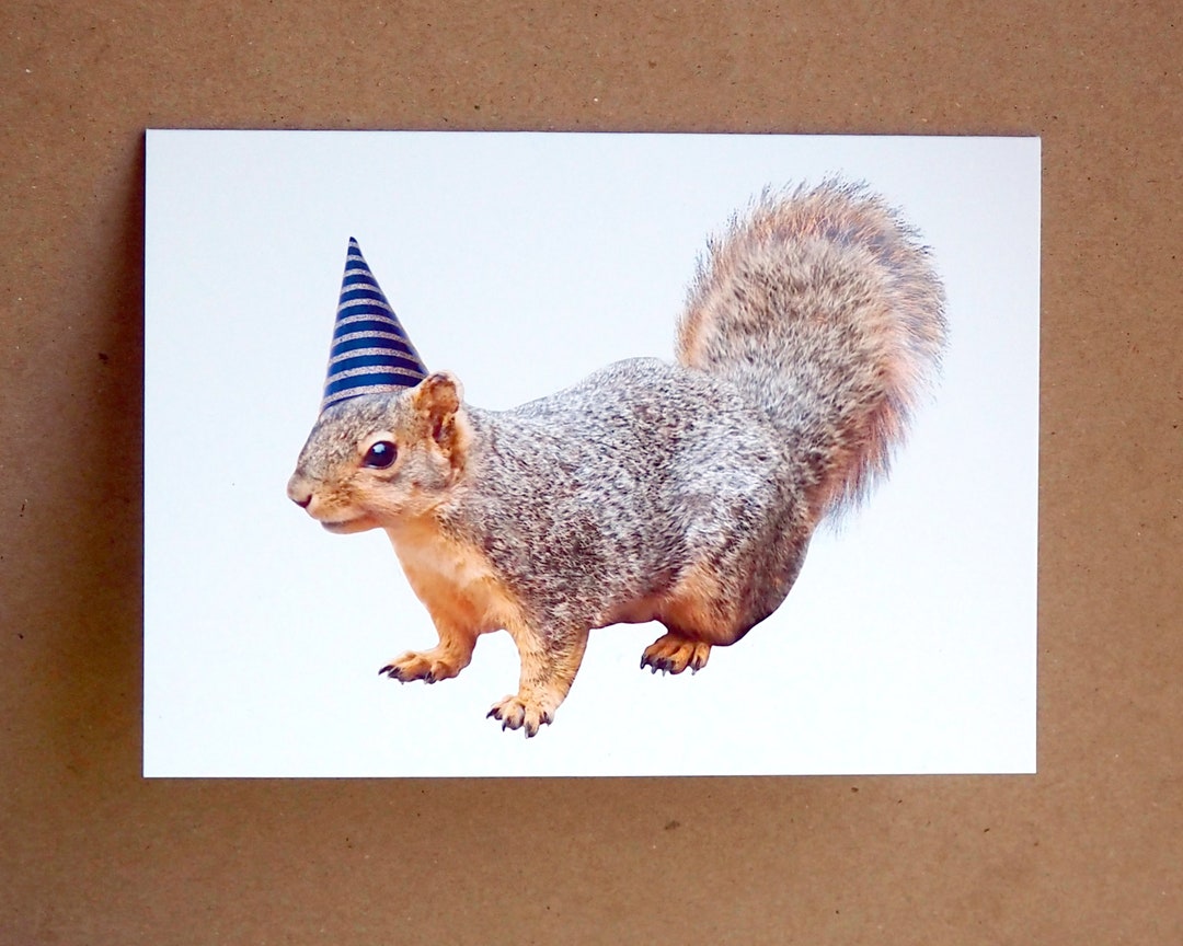 Squirrel With Party Hat Birthday Card - Etsy