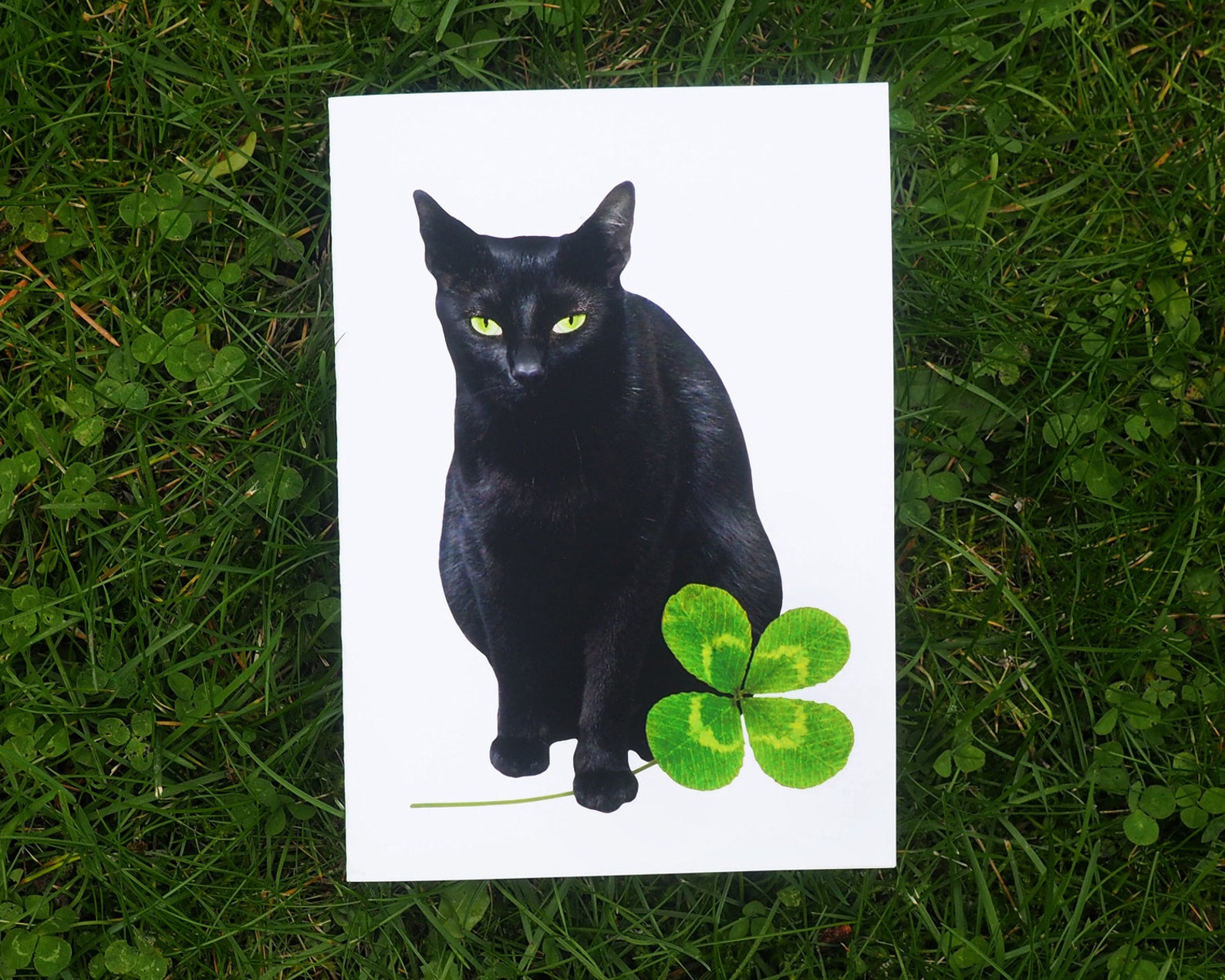 Printable Black Cat Four Leaf Clover Card Black Cat Card - Etsy