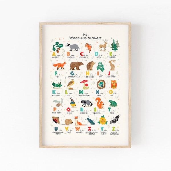Woodland Alphabet - Etsy