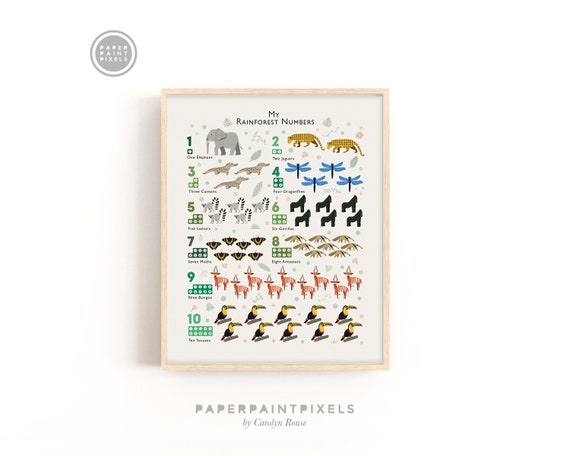 Rainforest Numbers Print Animal Numbers Poster Educational - Etsy UK