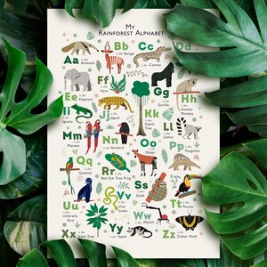 Jungle Alphabet Art Print, Rainforest Animals ABC Nursery Decor - Etsy
