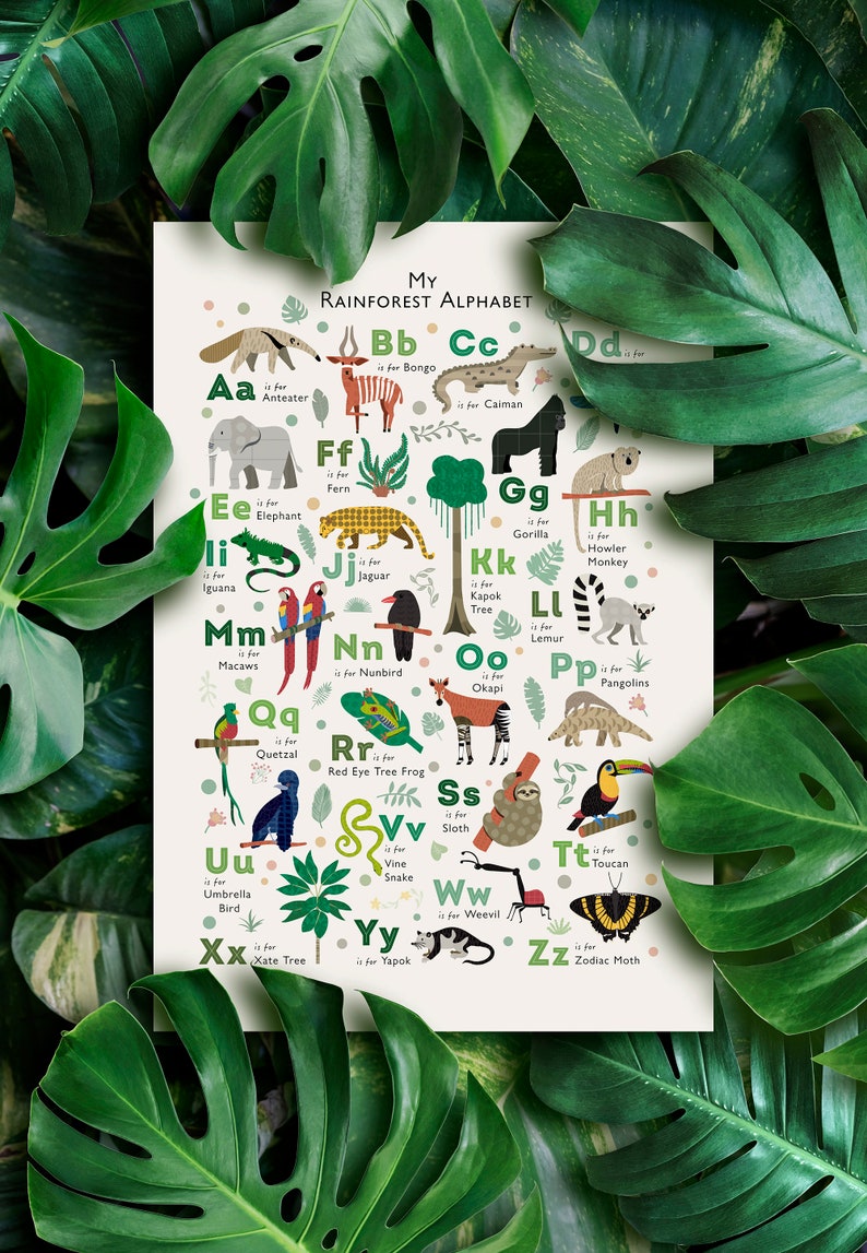 Jungle Alphabet Art Print, Rainforest Animals ABC Nursery Decor - Etsy