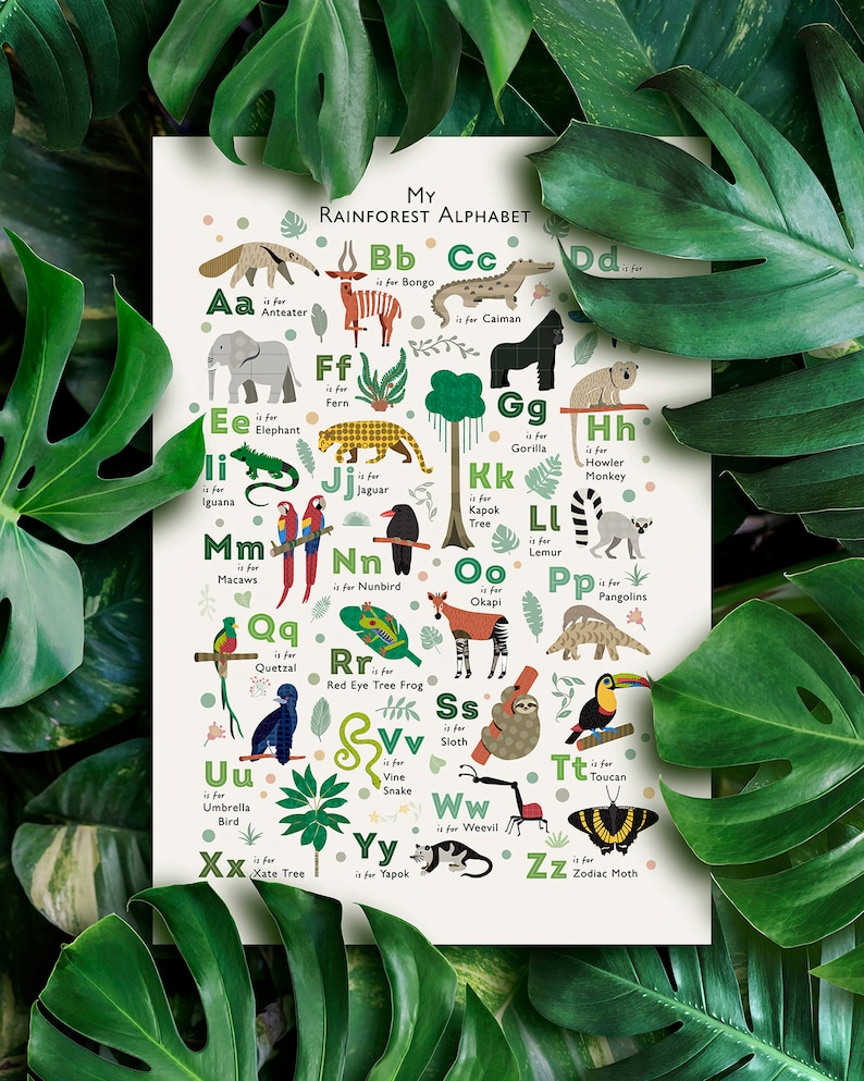 Rainforest Animals Alphabet Art Print: Tropical Jungle Nursery Decor - Etsy