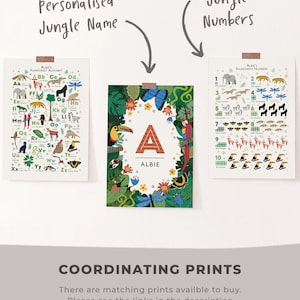 Rainforest Alphabet Art Print: Tropical Animal Nursery Decor - Etsy