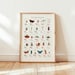 Insect ABC Poster: Nature Nursery Alphabet Wall Art - Etsy