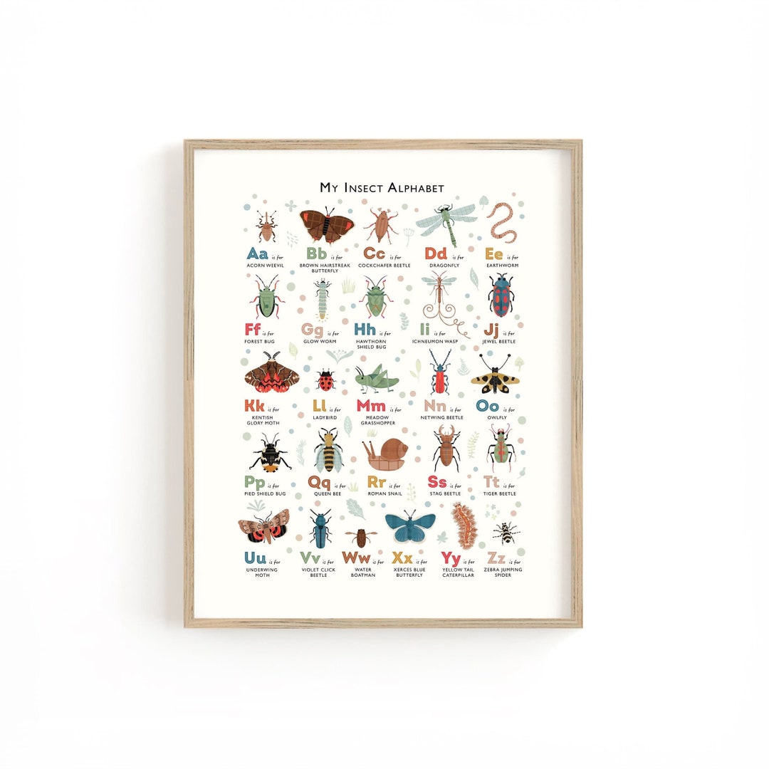 Insects ABC Poster, Children's Alphabet Wall Art, Bugs Chart, Nature ...