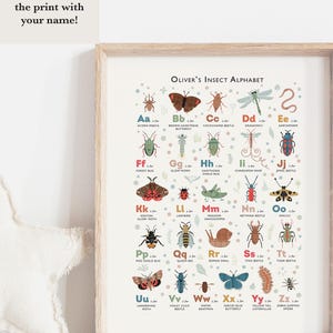 Insect ABC Poster: Nature Nursery Alphabet Wall Art - Etsy
