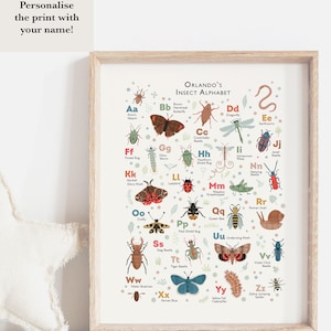 Insect Alphabet Print, Nursery Wall Art, Bugs and Insects Poster ...