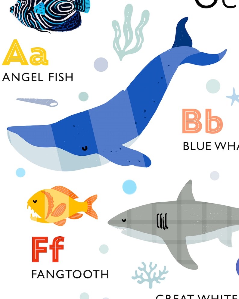 Sea Life Alphabet Print: Ocean Animals ABC Nursery Art - Etsy