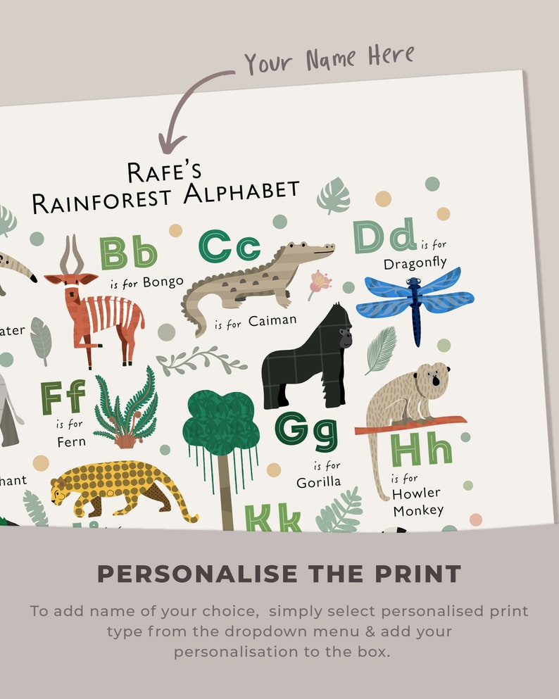 Rainforest Alphabet Art Print Tropical Jungle Animal Nursery | Etsy
