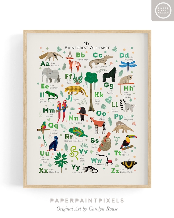 Rainforest Alphabet Art Print Tropical Jungle Animal Nursery | Etsy