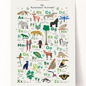 Rainforest Alphabet Art Print: Tropical Animal Nursery Decor - Etsy