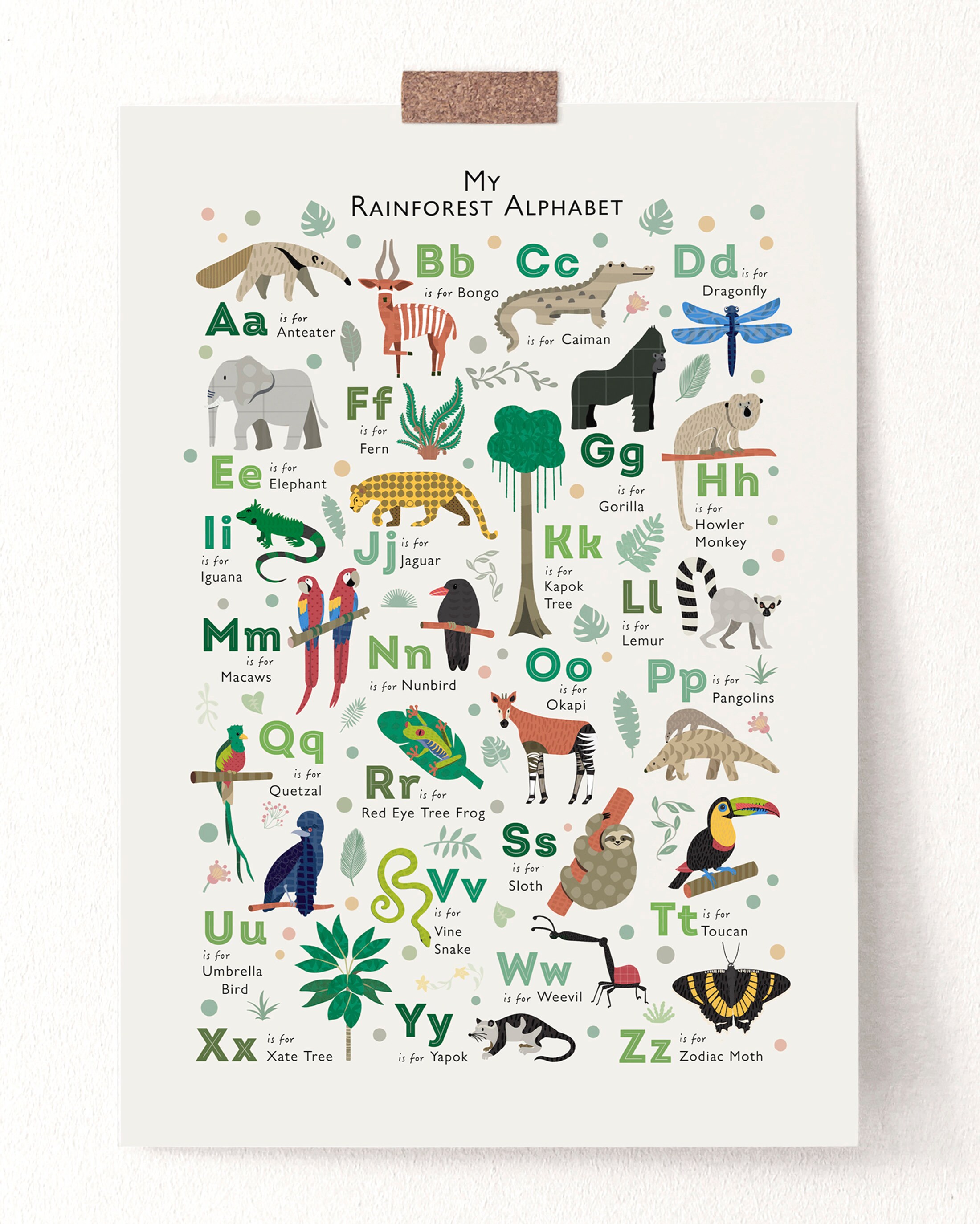Rainforest Animals Alphabet Art Print: Tropical Jungle Nursery Decor - Etsy