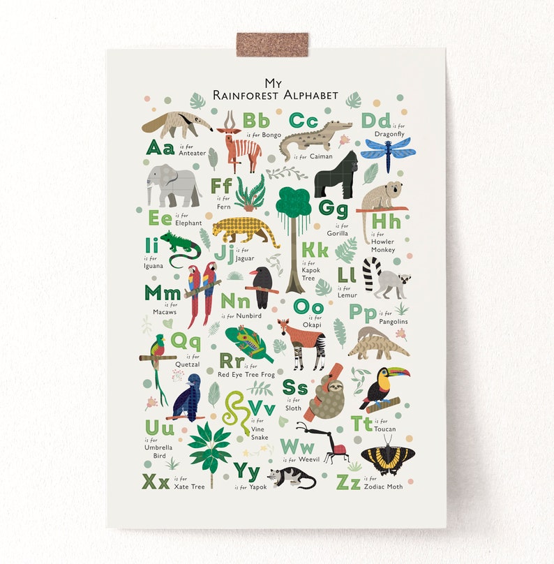 Jungle Alphabet Art Print, Rainforest Animals ABC Nursery Decor - Etsy
