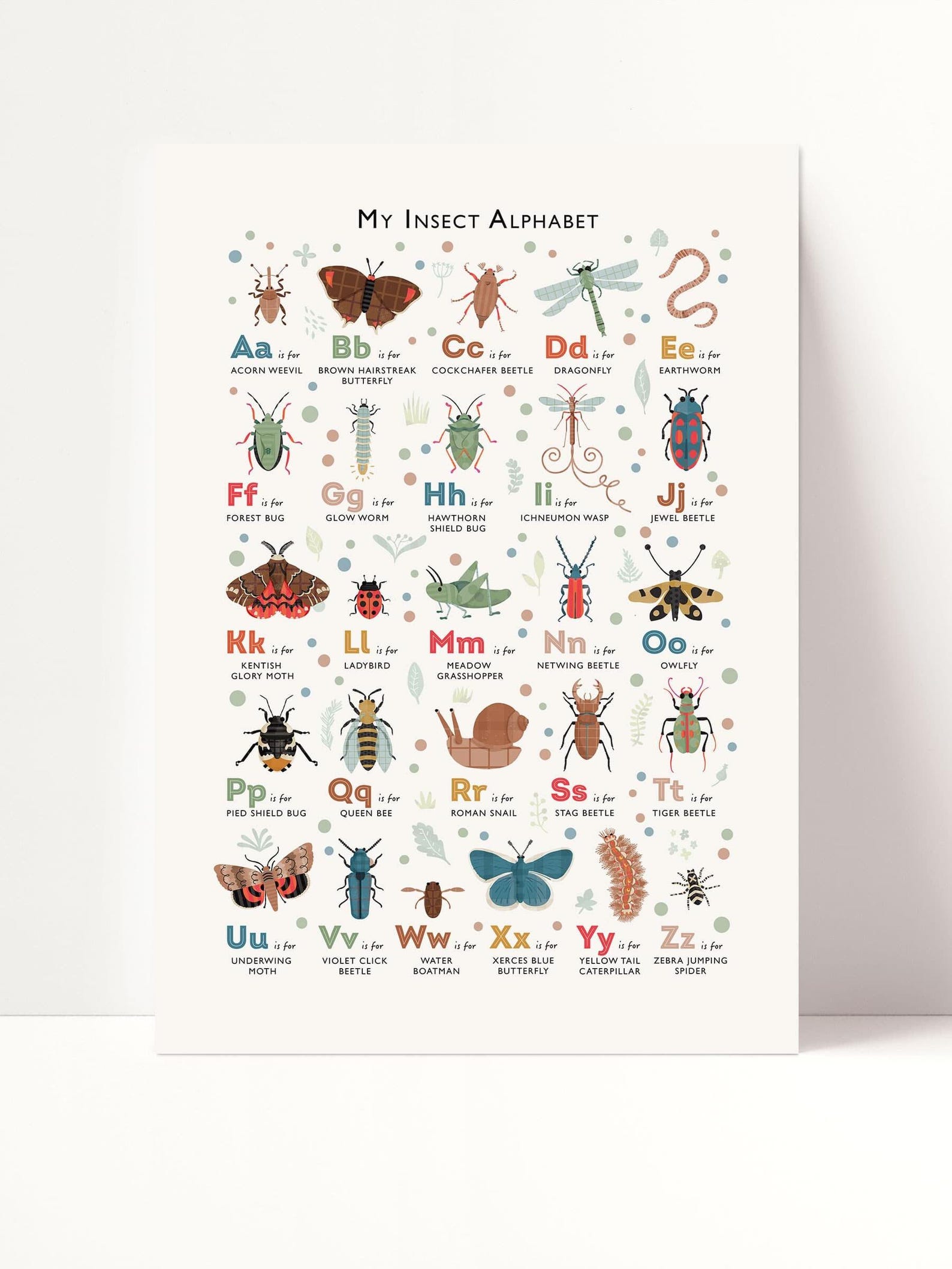 Insect ABC Poster: Nature Nursery Alphabet Wall Art - Etsy