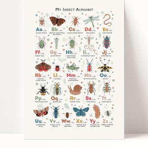 Insect ABC Poster: Nature Nursery Alphabet Wall Art - Etsy