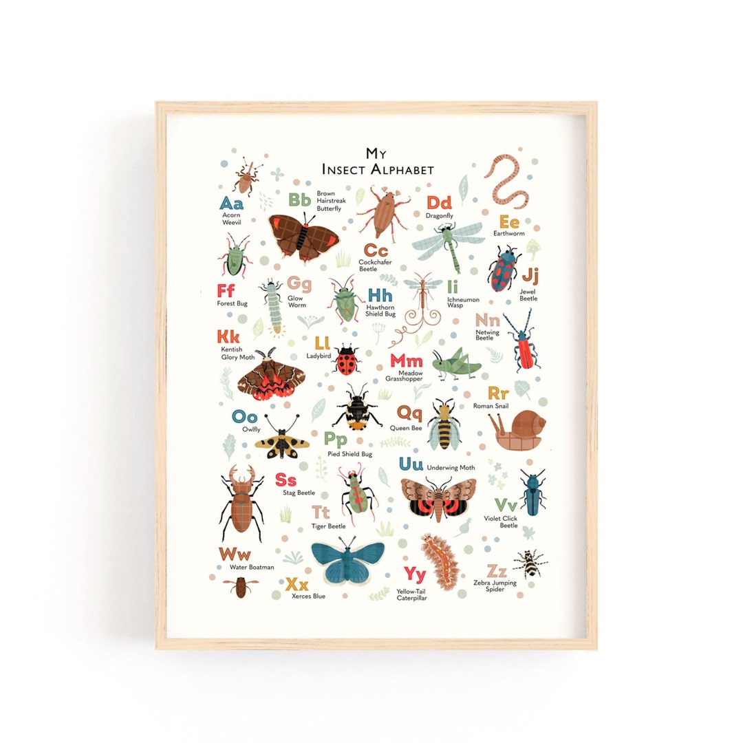 Insect Alphabet Print, Nursery Wall Art, Bugs and Insects Poster ...