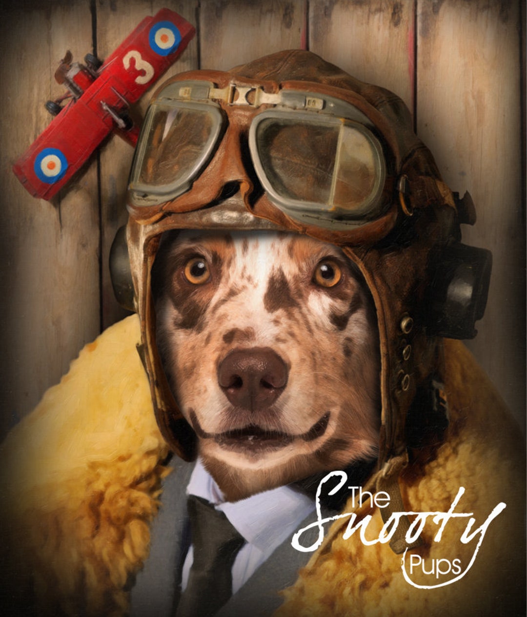 Border Collie Pilot Dog Portrait, Border Collie Aviator Dog Portrait ...