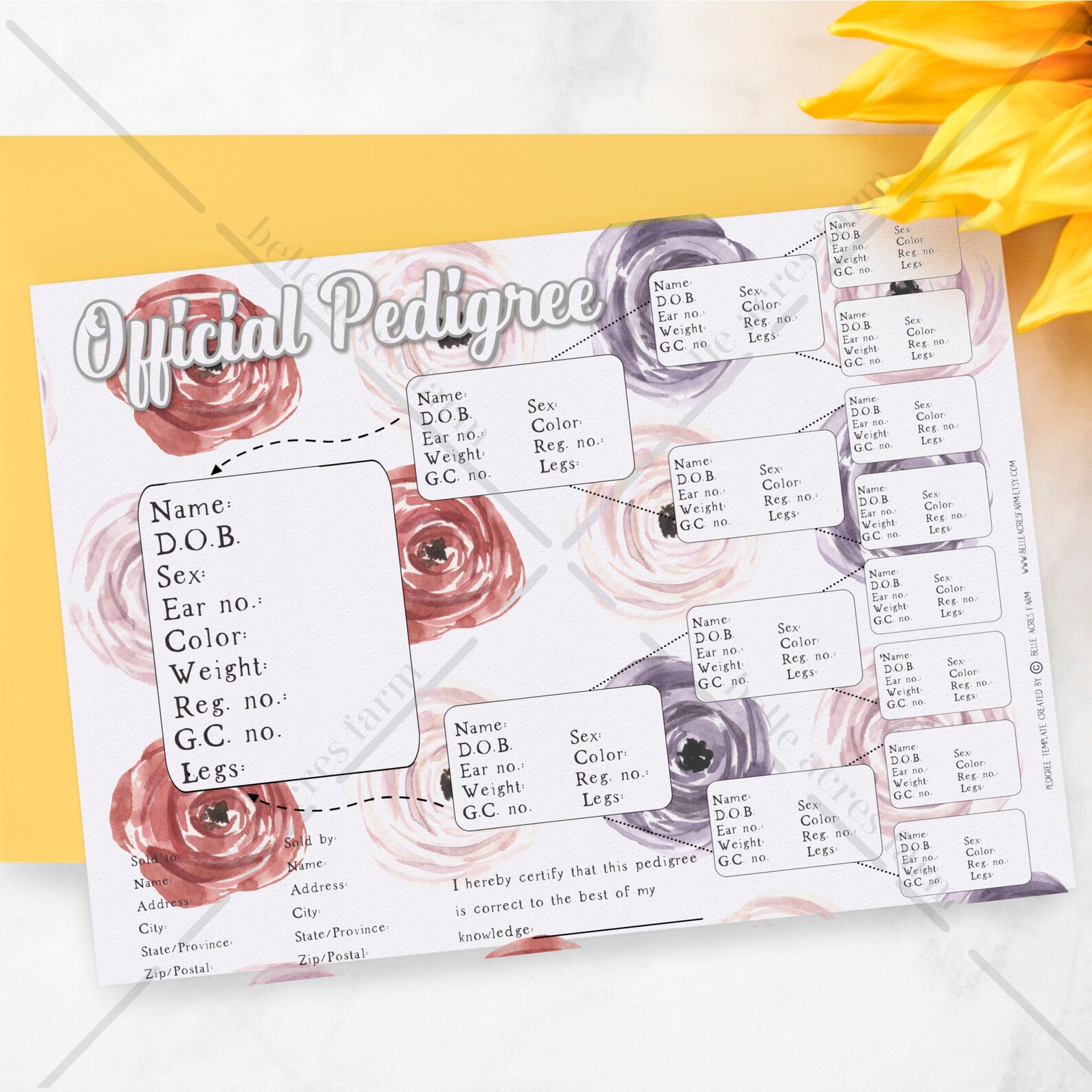 Rabbit Pedigree Template, Rabbitry Pedigree, Printable Pedigree, DIY ...