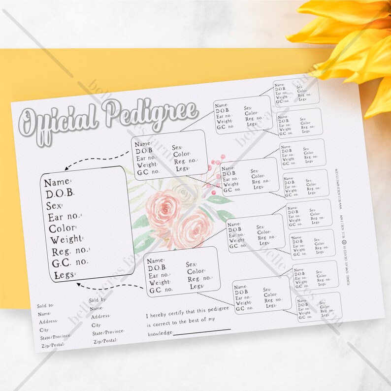 Rabbit Pedigree Template, Rabbitry Pedigree, Printable Pedigree, DIY ...