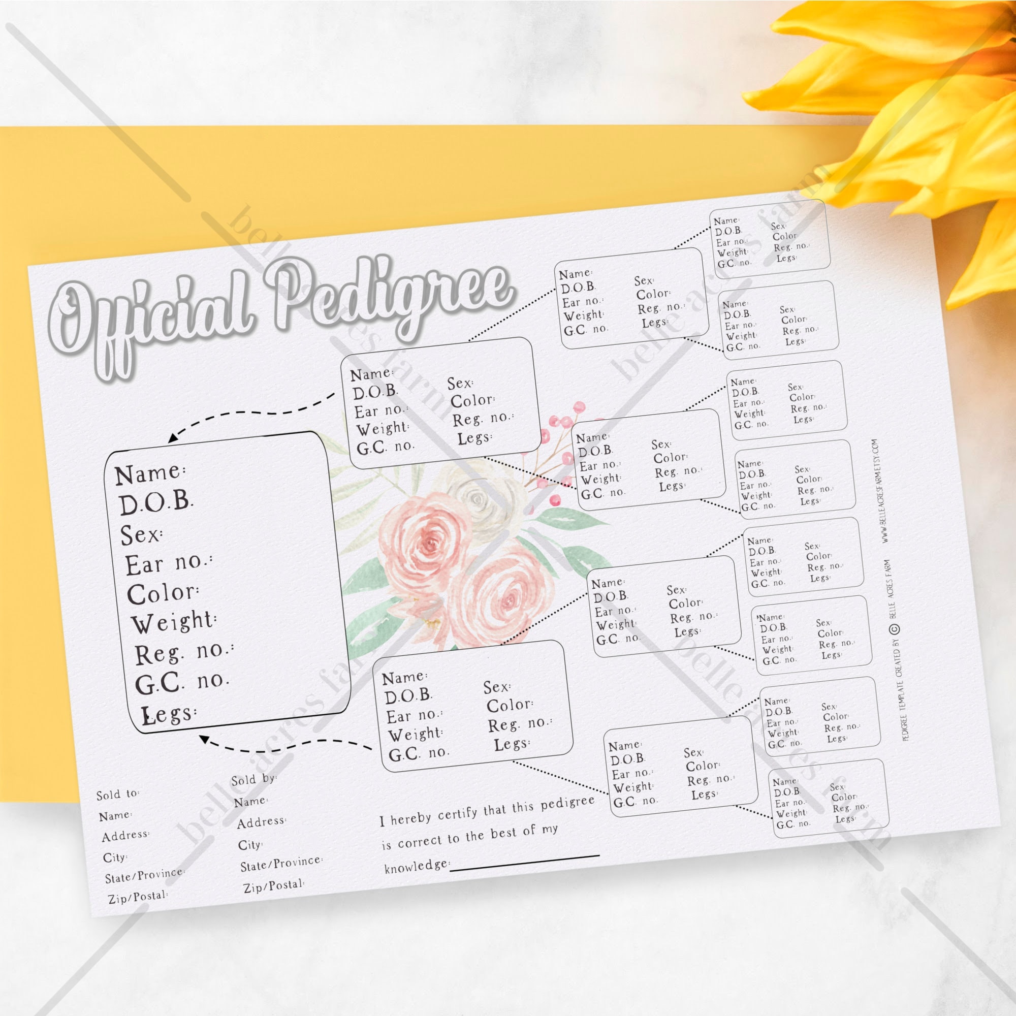 Rabbit Pedigree Template, Rabbitry Pedigree, Printable Pedigree, DIY ...